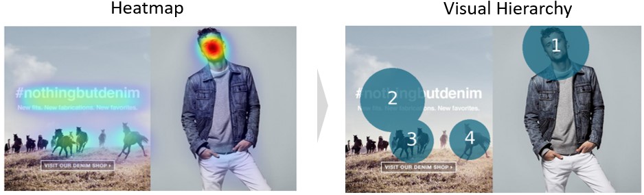 Visual Hierarchy – brainsuite Academy