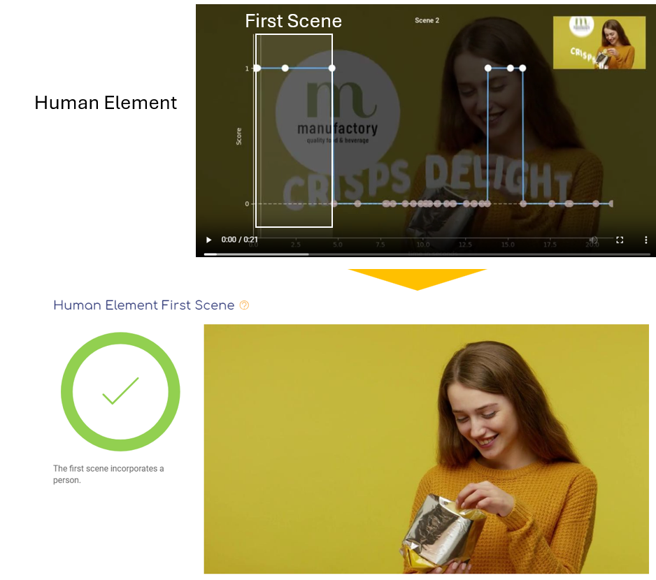 Human Element First Scene – brainsuite Academy