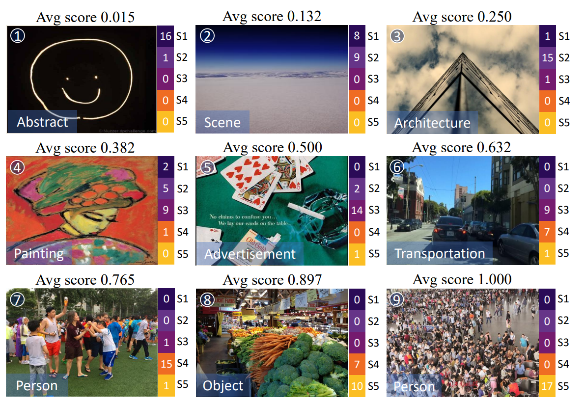 Visual Simplicity – brainsuite Academy