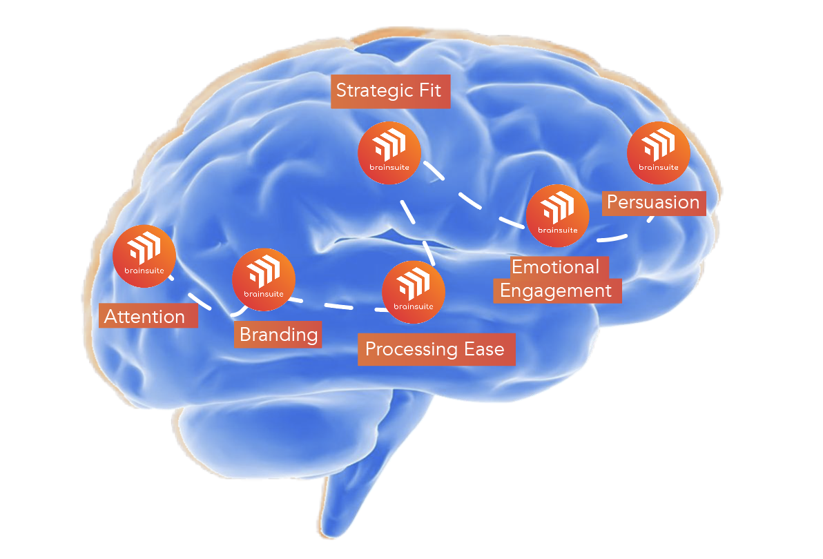 About Brainsuite – brainsuite Academy
