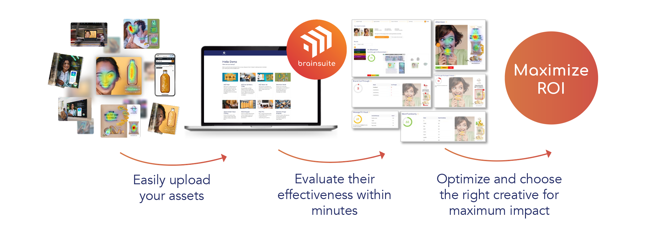 About Brainsuite – brainsuite Academy