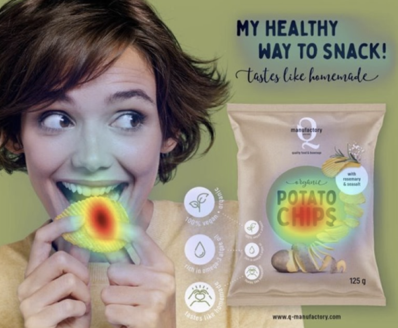 ACE Attention Static – brainsuite Academy