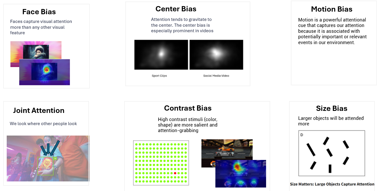How attention works – brainsuite Academy