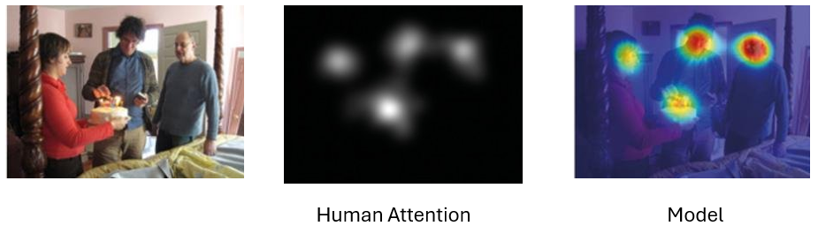 Modelling Visual Attention – brainsuite Academy