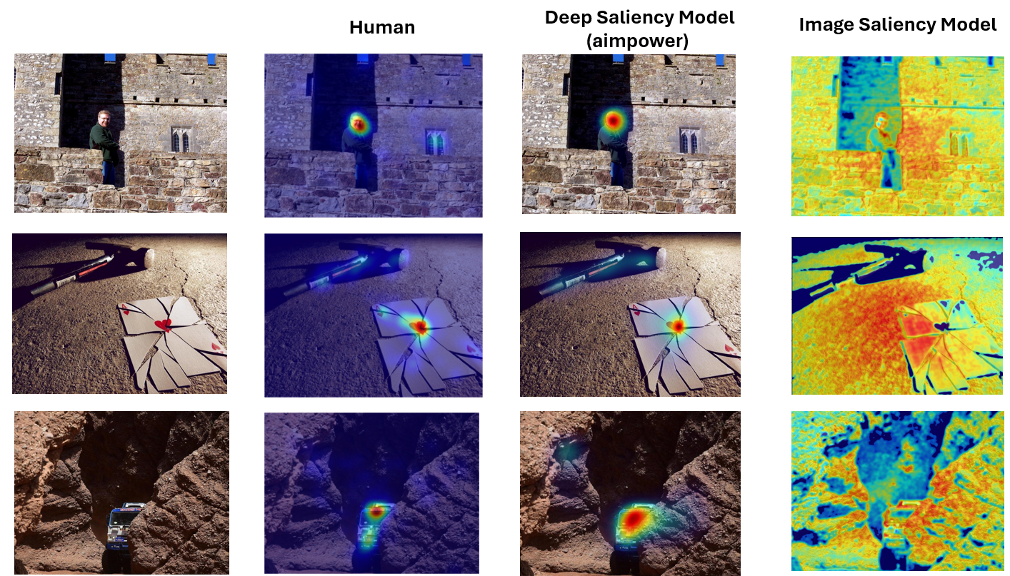 Modelling Visual Attention – brainsuite Academy
