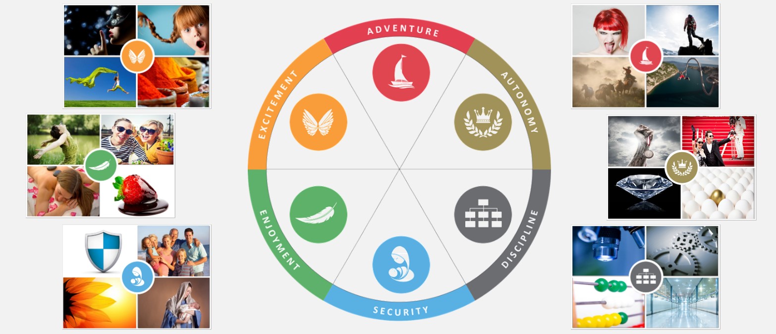 What drives humans: DECODE Reward Map – brainsuite Academy