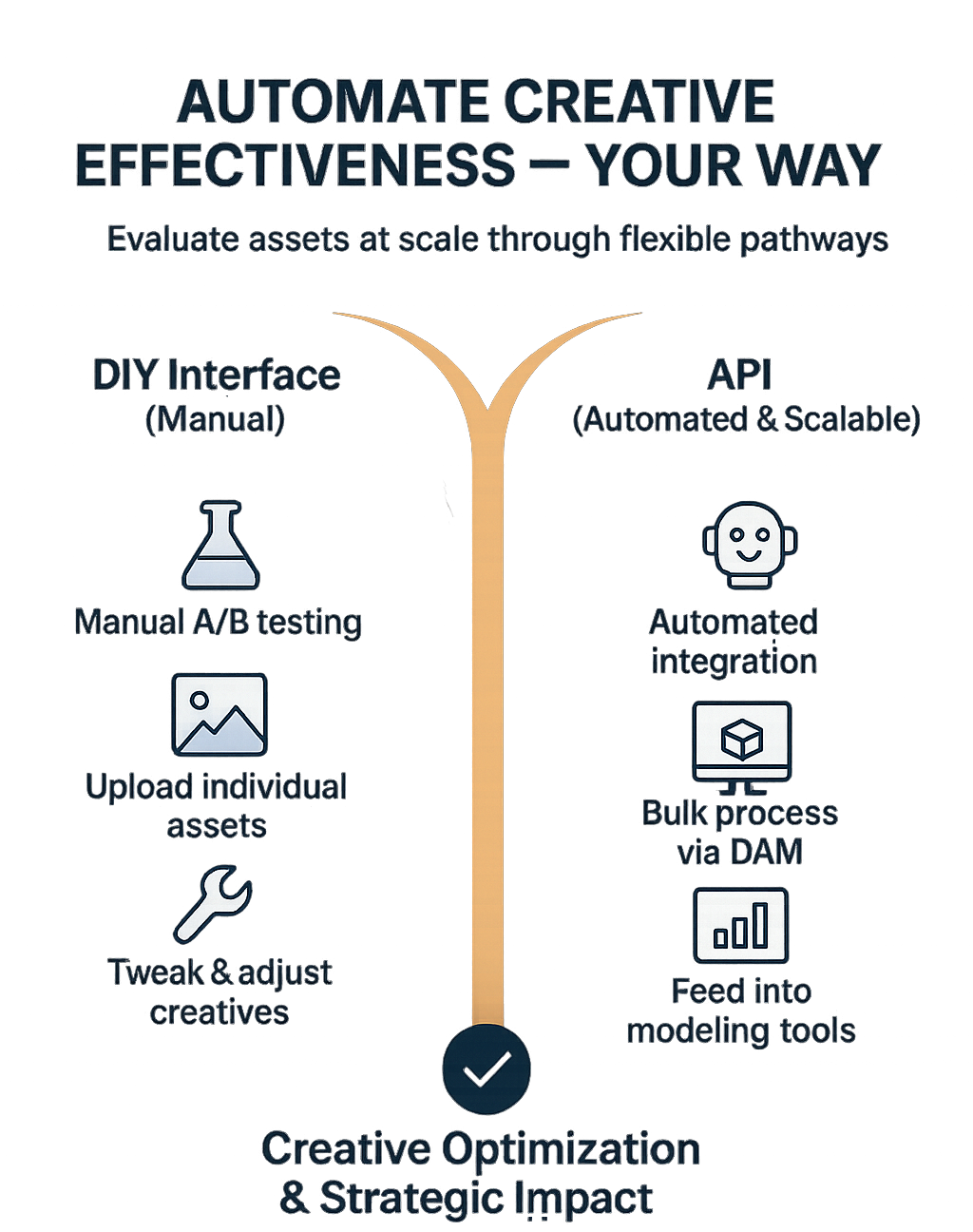 Introducing the Brainsuite API – brainsuite Academy