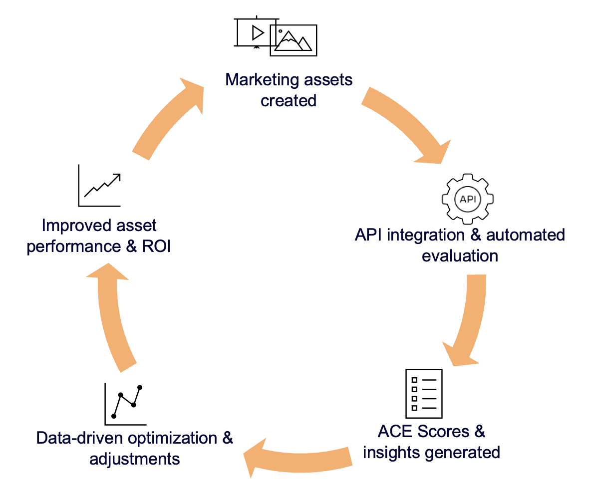 Introducing the Brainsuite API – brainsuite Academy